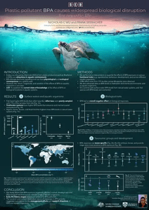 Master the Art of Scientific Posters for Conferences: Step-by-Step